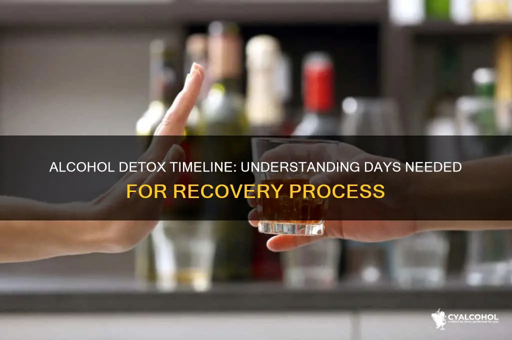 Alcohol Detox Timeline: Understanding Days Needed For Recovery Process ...