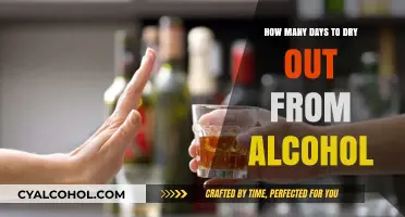 Alcohol Detox Timeline: How Long Does It Stay In Your System? | CyAlcohol