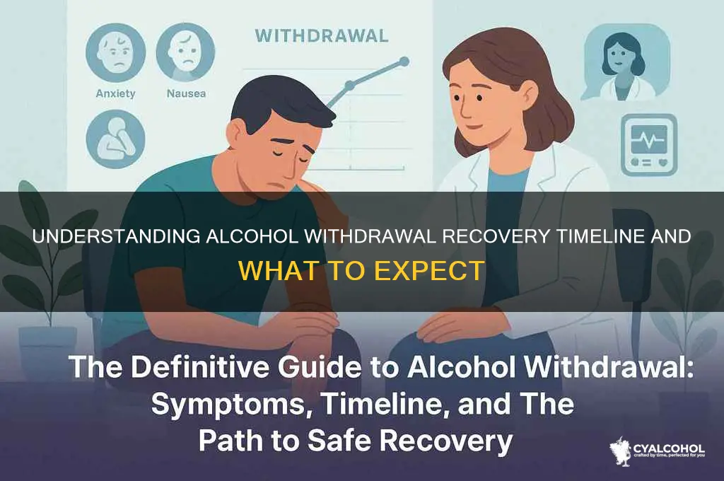 Understanding Alcohol Withdrawal Recovery Timeline And What To Expect ...