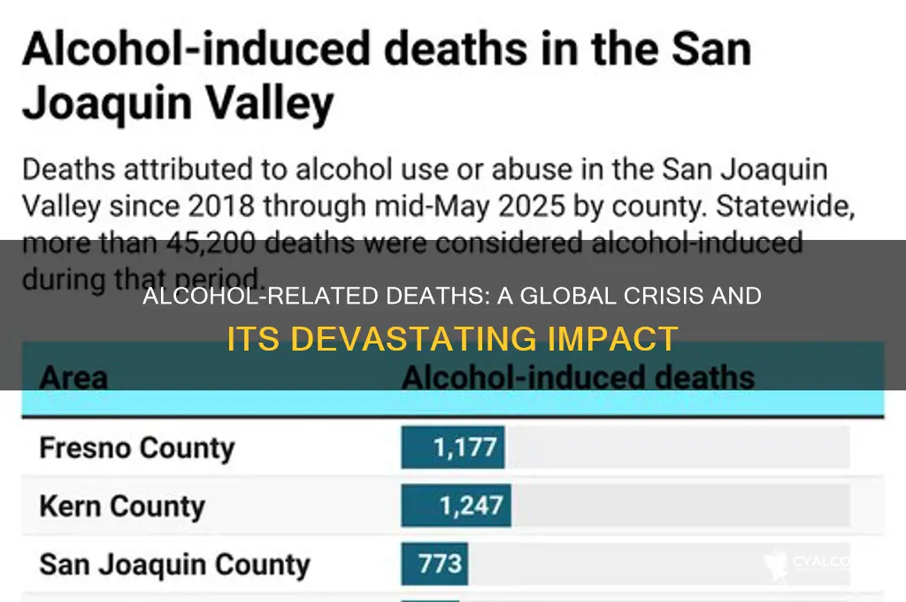 Alcohol-Related Deaths: A Global Crisis And Its Devastating Impact ...