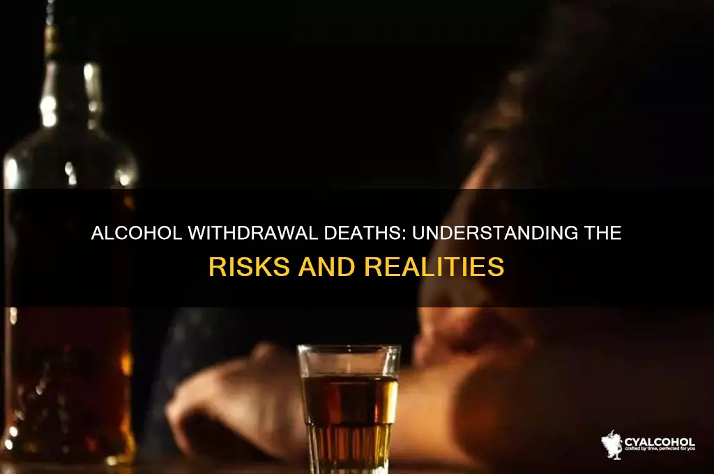Alcohol Withdrawal Deaths: Understanding The Risks And Realities ...