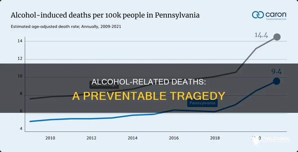 Alcohol-Related Deaths: A Preventable Tragedy | CyAlcohol