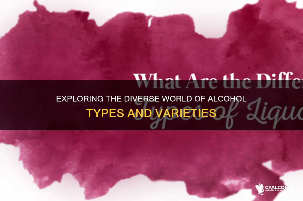 Exploring The Diverse World Of Alcohol Types And Varieties | CyAlcohol