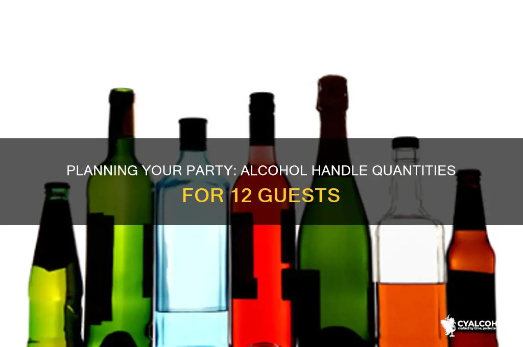 Planning Your Party: Alcohol Handle Quantities For 12 Guests | CyAlcohol