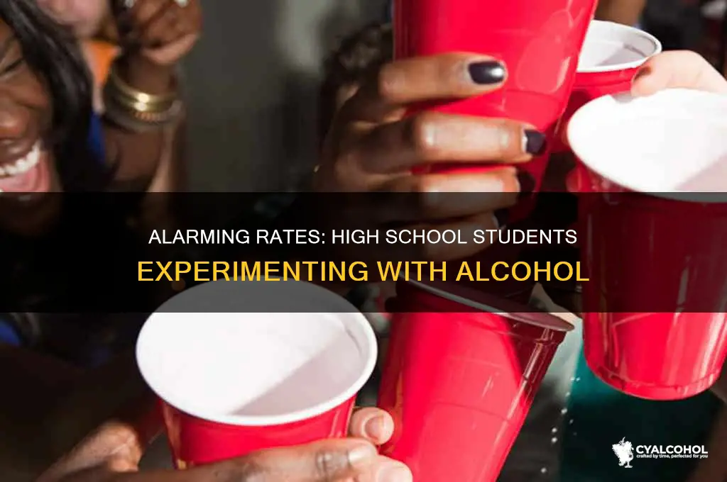 Alarming Rates: High School Students Experimenting With Alcohol | CyAlcohol