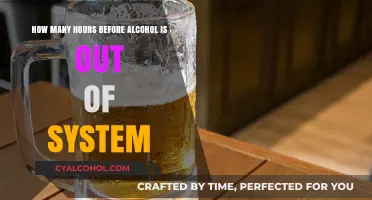 Processing Alcohol: Understanding The Time It Takes | CyAlcohol
