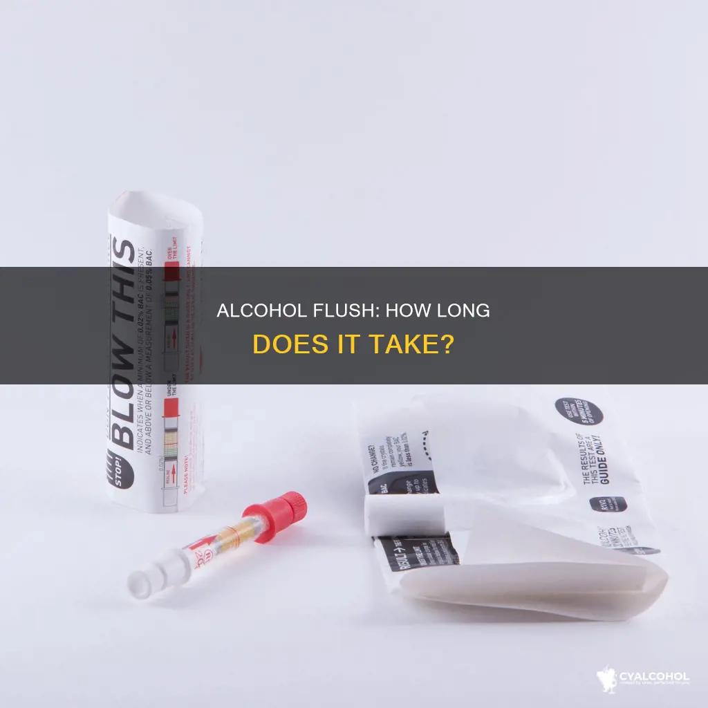 Alcohol Flush: How Long Does It Take? | CyAlcohol
