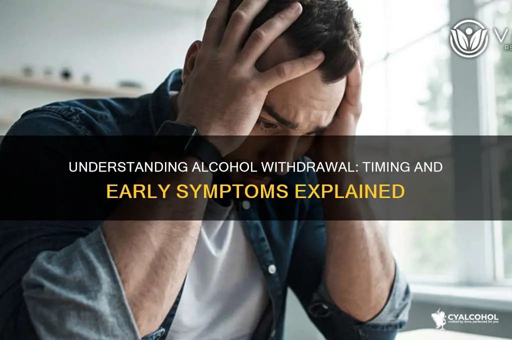 Understanding Alcohol Withdrawal: Timing And Early Symptoms Explained ...