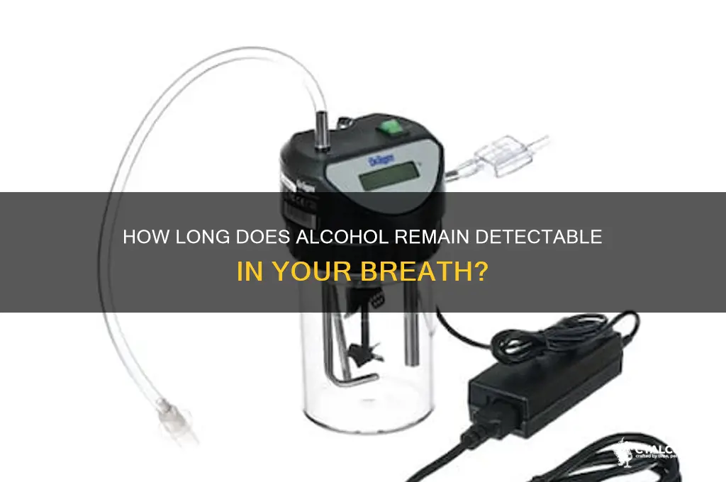 How Long Does Alcohol Remain Detectable In Your Breath? | CyAlcohol