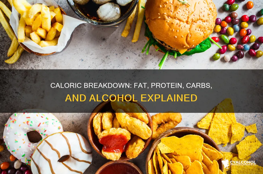 Caloric Breakdown: Fat, Protein, Carbs, And Alcohol Explained | CyAlcohol