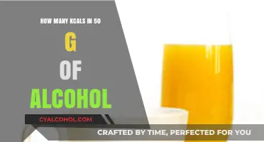 Standard Alcohol Bottle Sizes: Liters Explained For Every Occasion ...