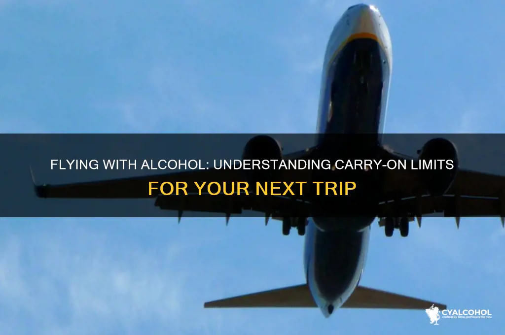 Flying With Alcohol: Understanding Carry-On Limits For Your Next Trip ...