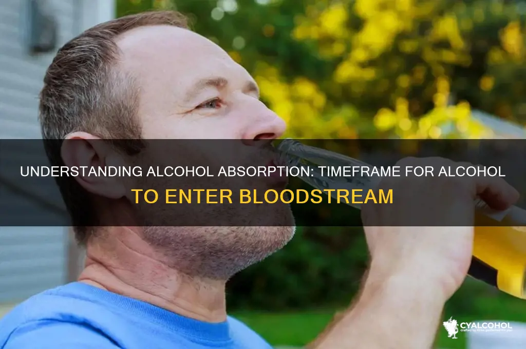 Understanding Alcohol Absorption: Timeframe For Alcohol To Enter ...