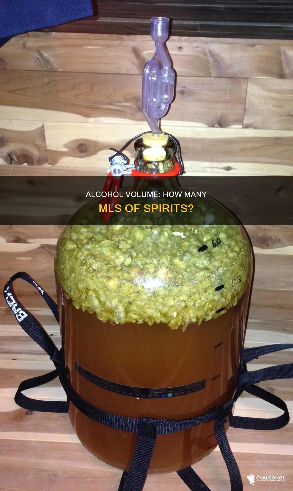 Alcohol Volume: How Many Mls Of Spirits? | CyAlcohol
