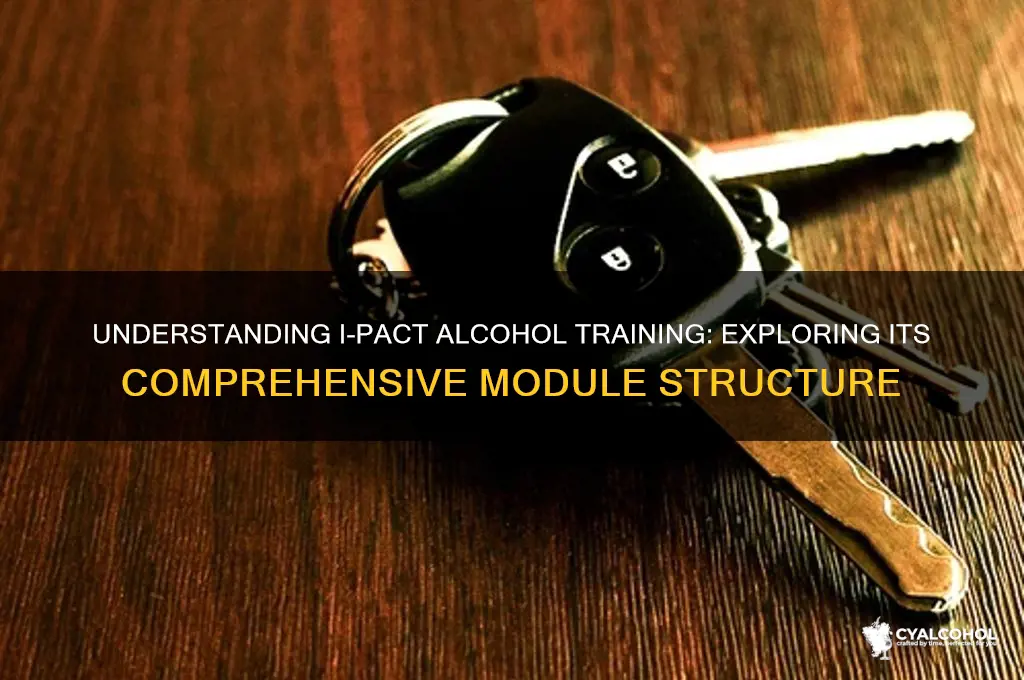 Understanding I-Pact Alcohol Training: Exploring Its Comprehensive ...