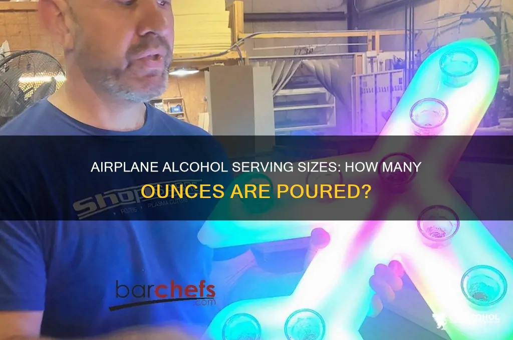 Airplane Alcohol Serving Sizes: How Many Ounces Are Poured? | CyAlcohol