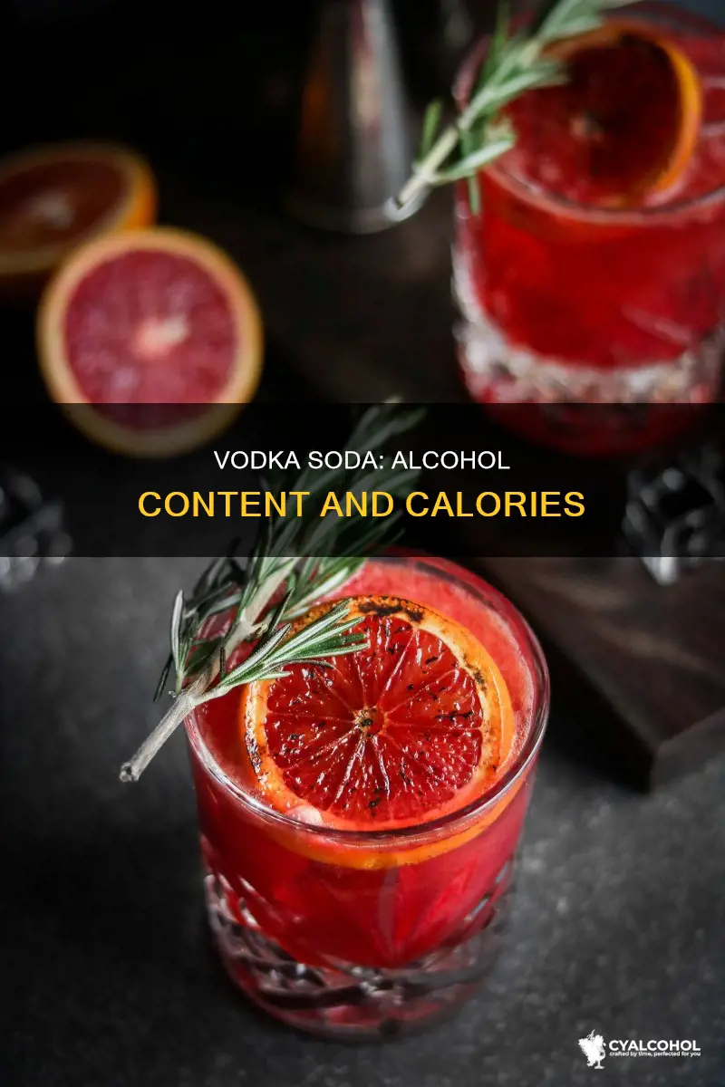 Vodka Soda: Alcohol Content And Calories | CyAlcohol