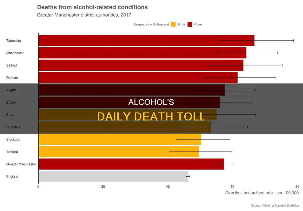 Alcohol's Daily Death Toll | CyAlcohol