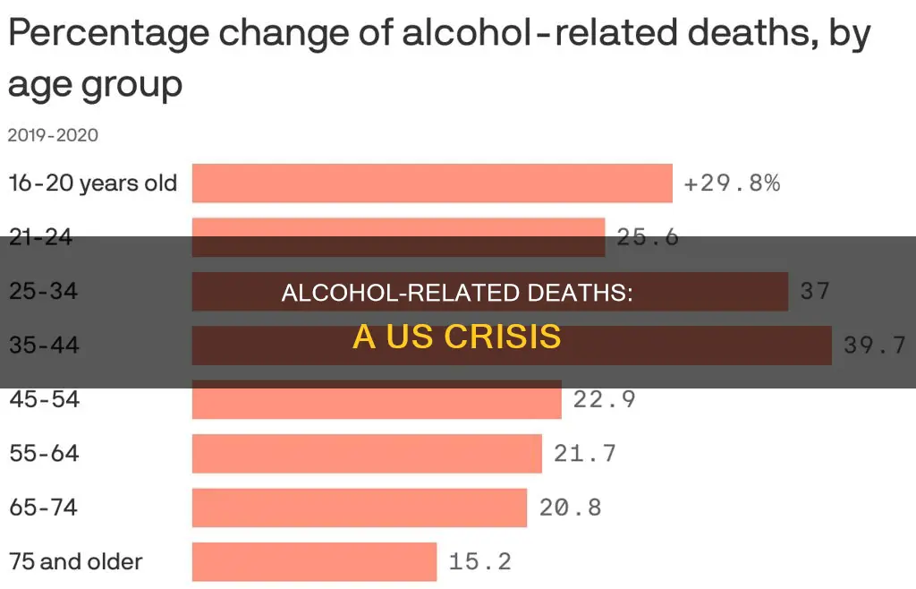 Alcohol-Related Deaths: A Us Crisis | CyAlcohol