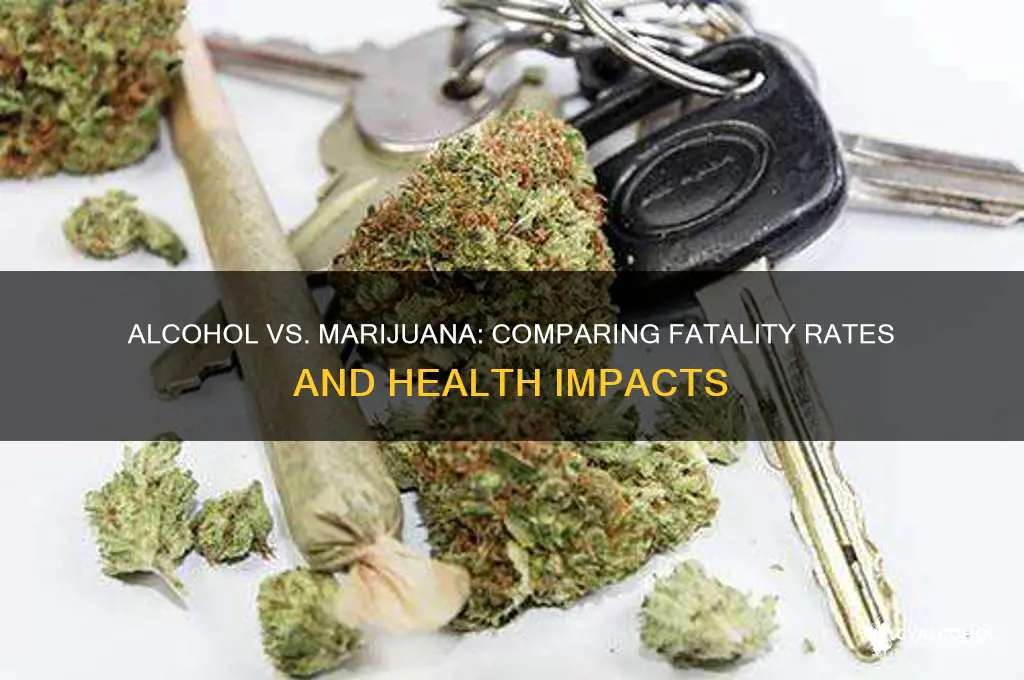 Alcohol Vs. Marijuana: Comparing Fatality Rates And Health Impacts ...
