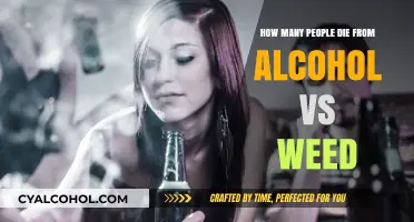 Alcohol Vs. Marijuana: Comparing Fatality Rates And Health Impacts ...