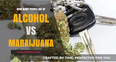 Alcohol Vs. Marijuana: Comparing Fatality Rates And Health Impacts ...