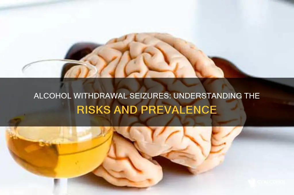 Alcohol Withdrawal Seizures: Understanding The Risks And Prevalence ...