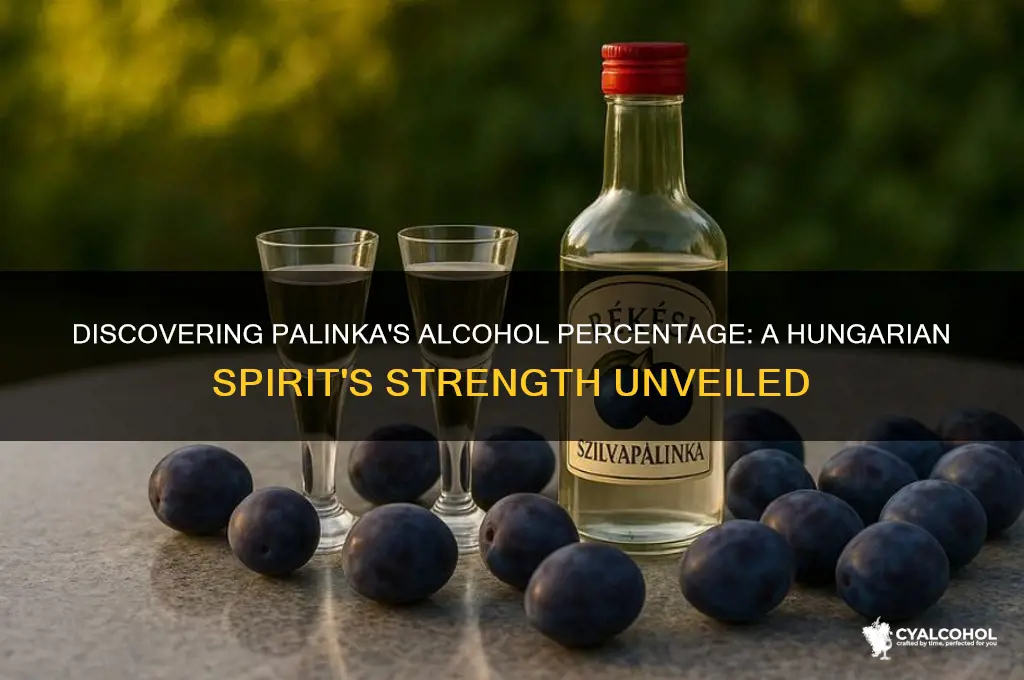 Discovering Palinka's Alcohol Percentage: A Hungarian Spirit's Strength ...