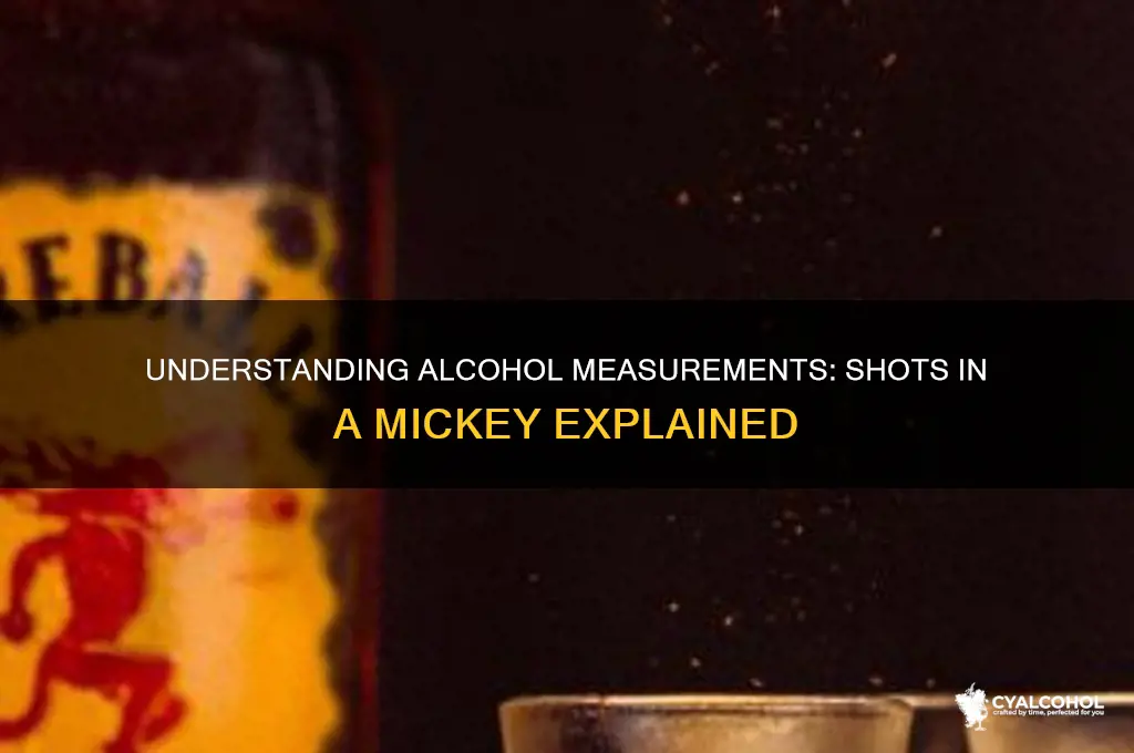 Understanding Alcohol Measurements: Shots In A Mickey Explained | CyAlcohol