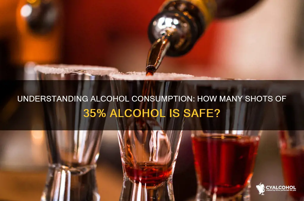 Understanding Alcohol Consumption: How Many Shots Of 35% Alcohol Is ...