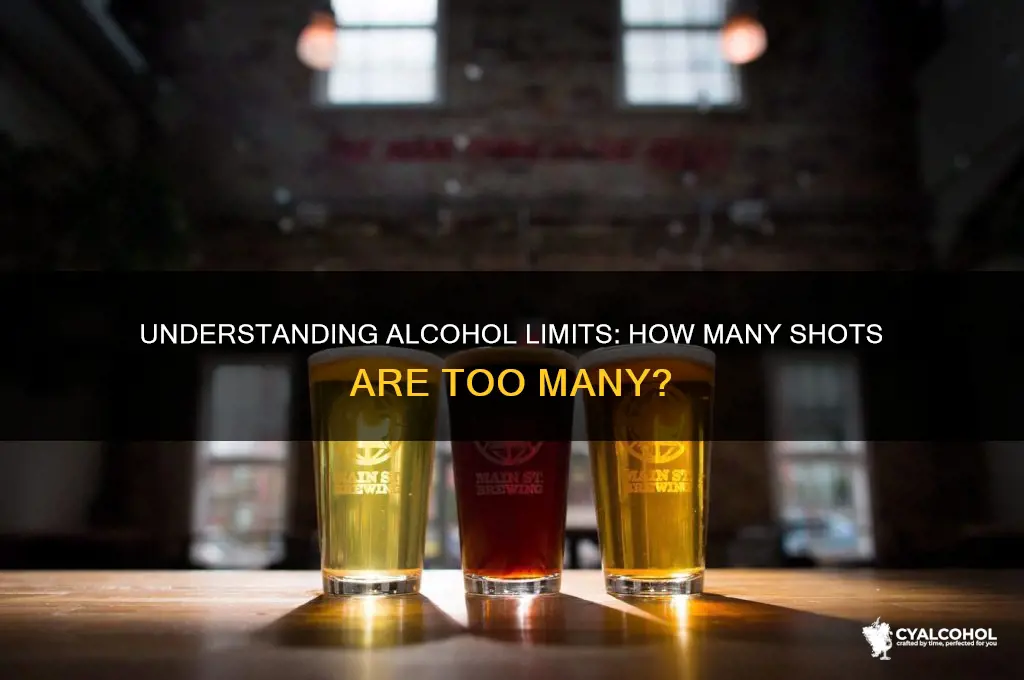 Understanding Alcohol Limits: How Many Shots Are Too Many? | CyAlcohol