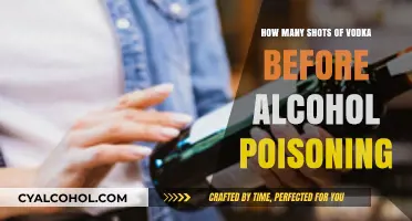 Understanding Alcohol Measurements: Shots In A Liter Explained | CyAlcohol