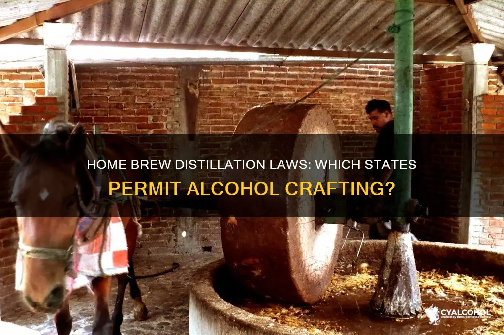 Home Brew Distillation Laws: Which States Permit Alcohol Crafting ...