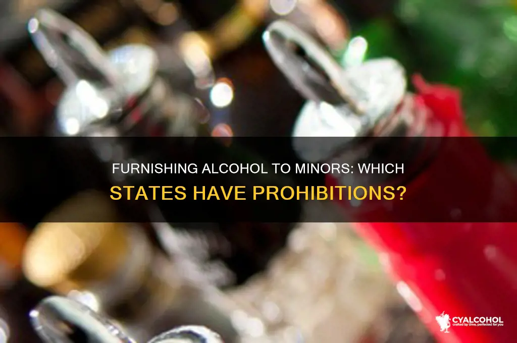Furnishing Alcohol To Minors: Which States Have Prohibitions? | CyAlcohol
