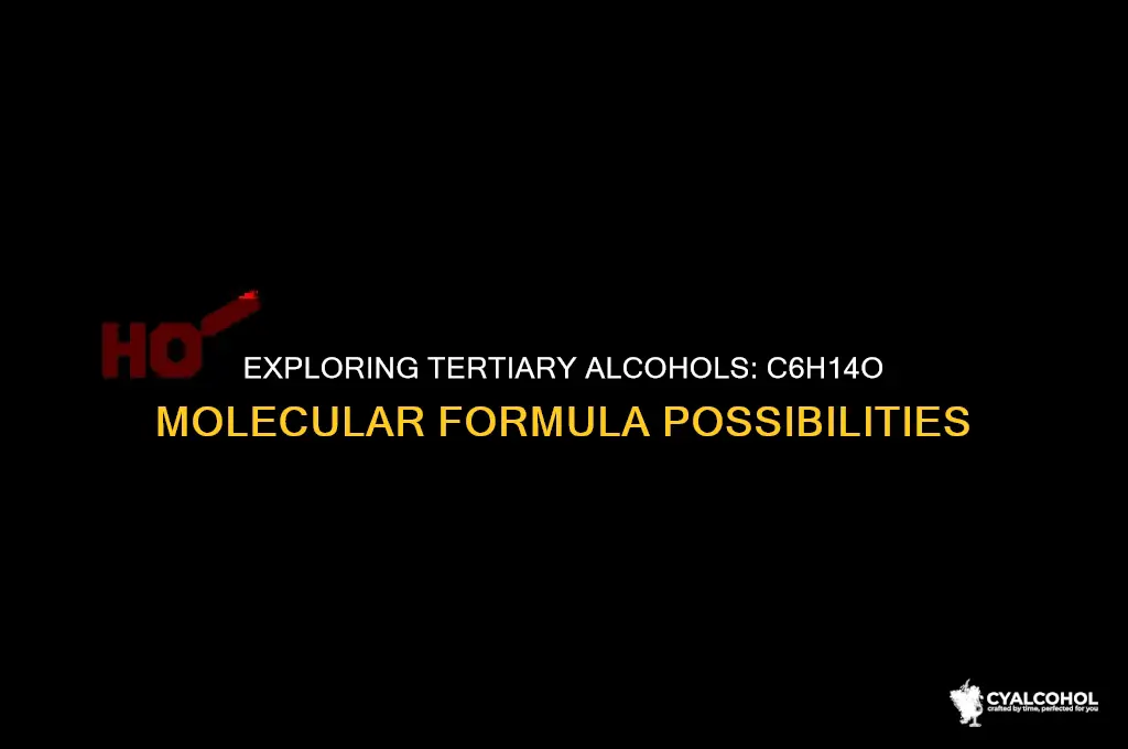 Exploring Tertiary Alcohols: C6h14o Molecular Formula Possibilities ...