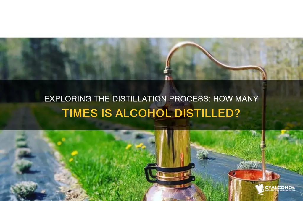 Exploring The Distillation Process: How Many Times Is Alcohol Distilled ...