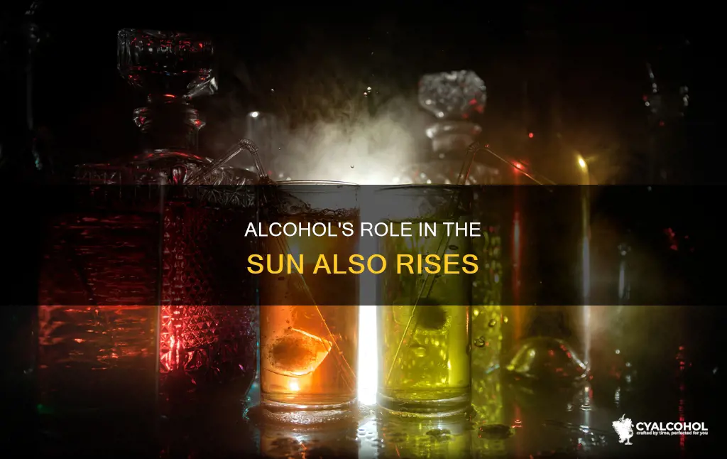 Alcohol's Role In The Sun Also Rises | CyAlcohol