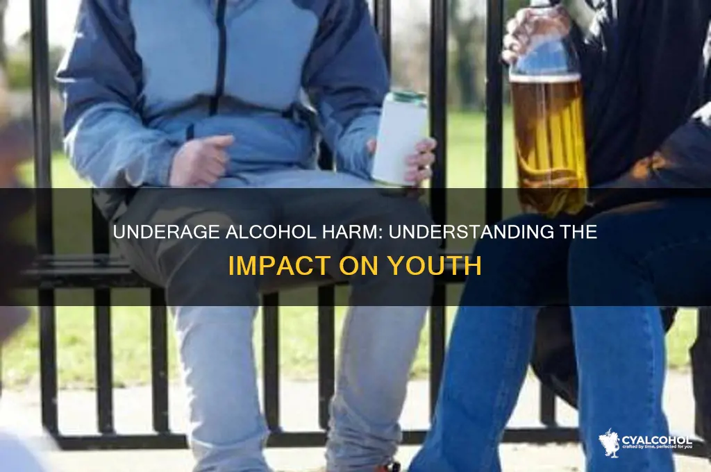 Underage Alcohol Harm: Understanding The Impact On Youth | CyAlcohol