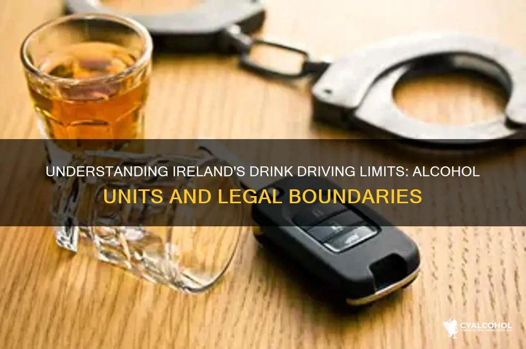 Understanding Ireland's Drink Driving Limits: Alcohol Units And Legal ...