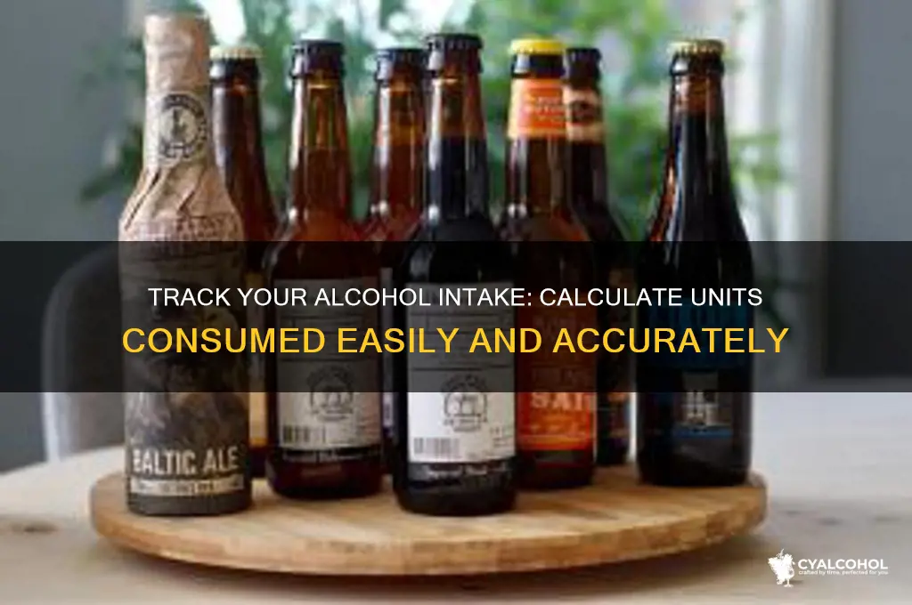 Track Your Alcohol Intake: Calculate Units Consumed Easily And ...