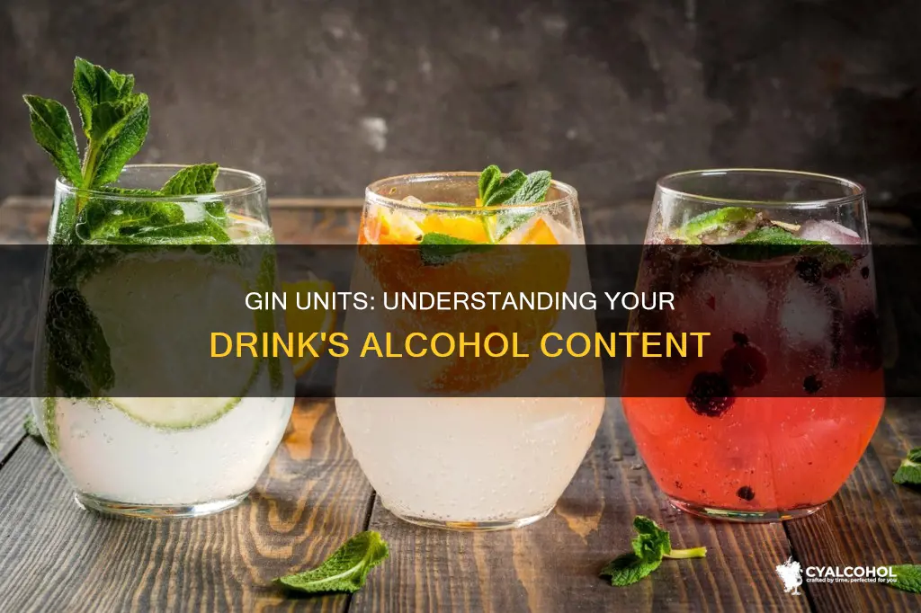 Gin Units: Understanding Your Drink's Alcohol Content | CyAlcohol