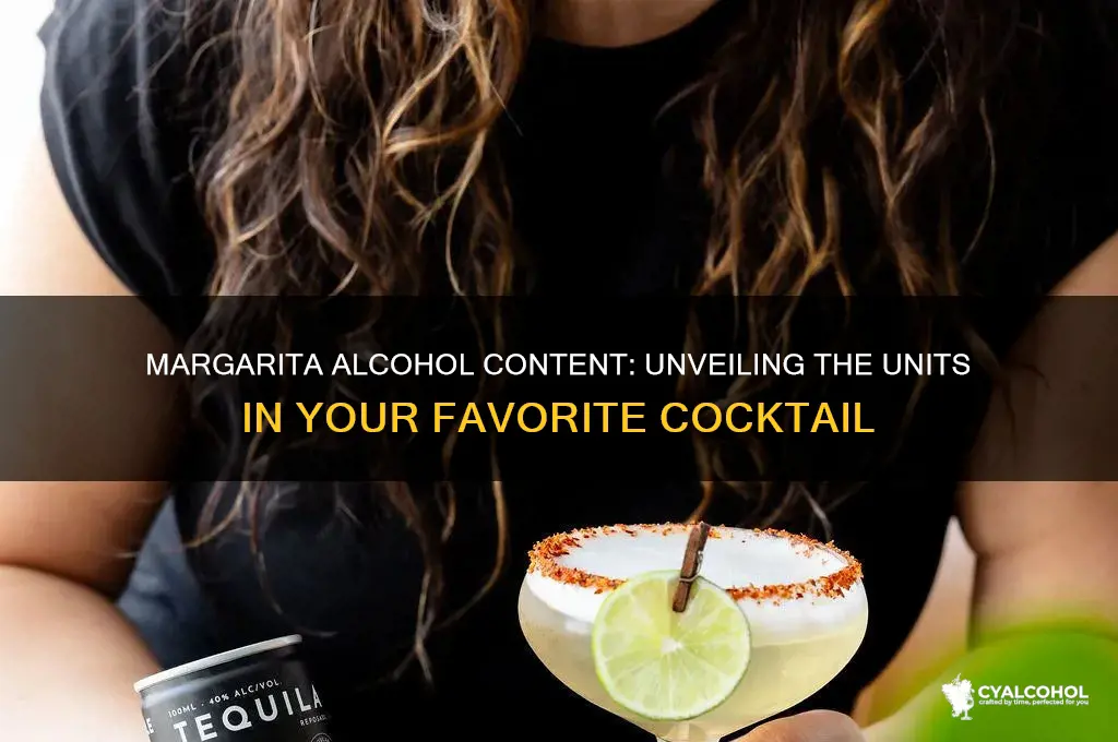 Margarita Alcohol By Volume