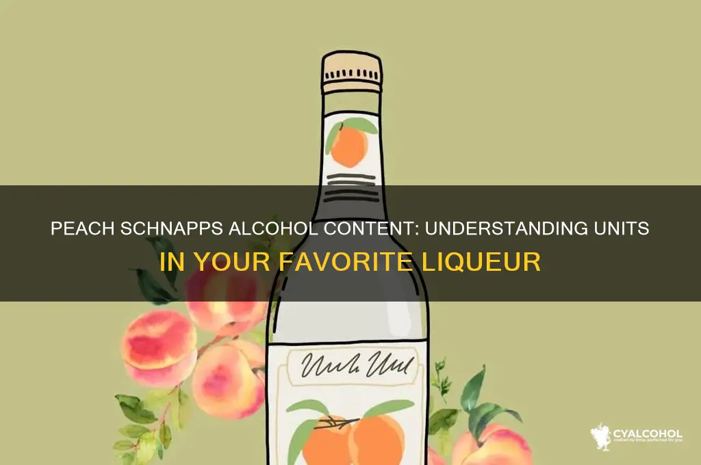 Peach Schnapps Alcohol Content: Understanding Units In Your Favorite ...