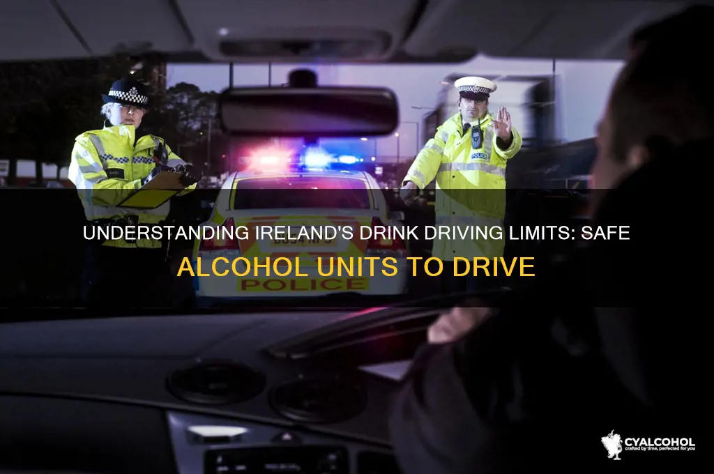 Understanding Ireland's Drink Driving Limits: Safe Alcohol Units To ...