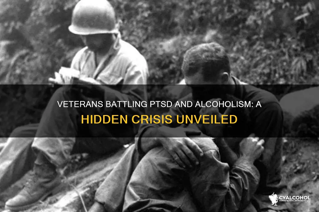 Veterans Battling Ptsd And Alcoholism: A Hidden Crisis Unveiled | CyAlcohol