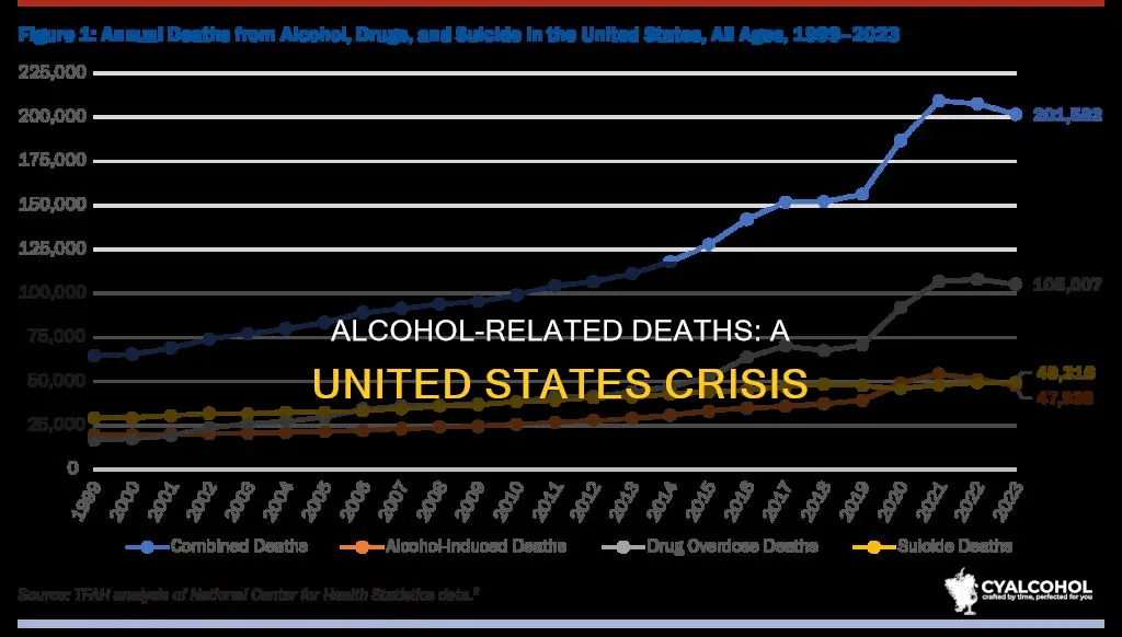 Alcohol-Related Deaths: A United States Crisis | CyAlcohol