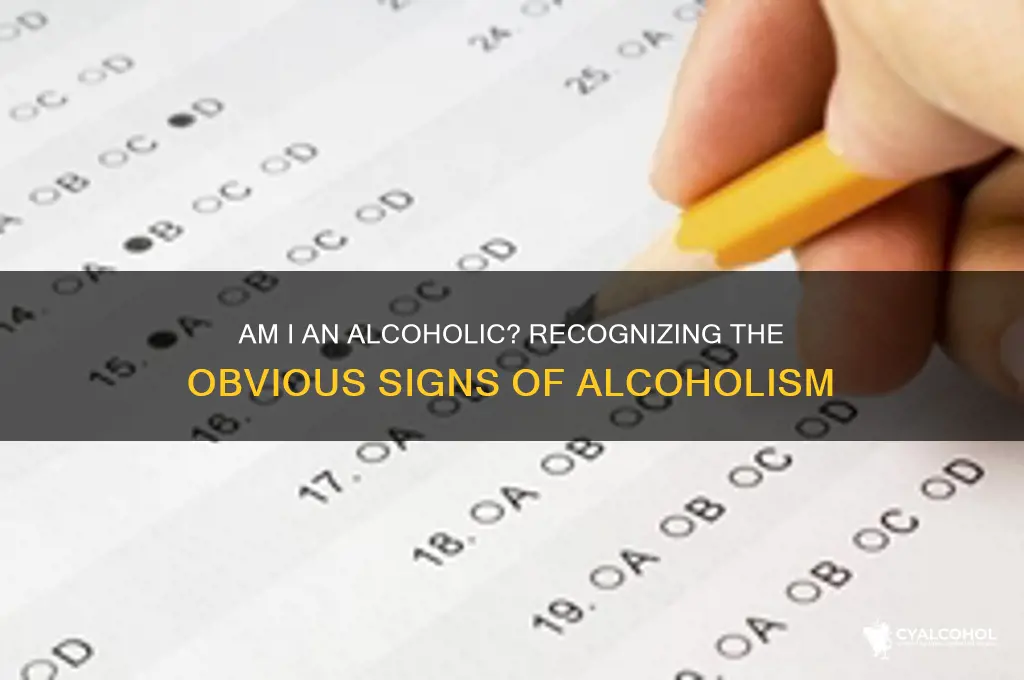 Am I An Alcoholic? Recognizing The Obvious Signs Of Alcoholism | CyAlcohol