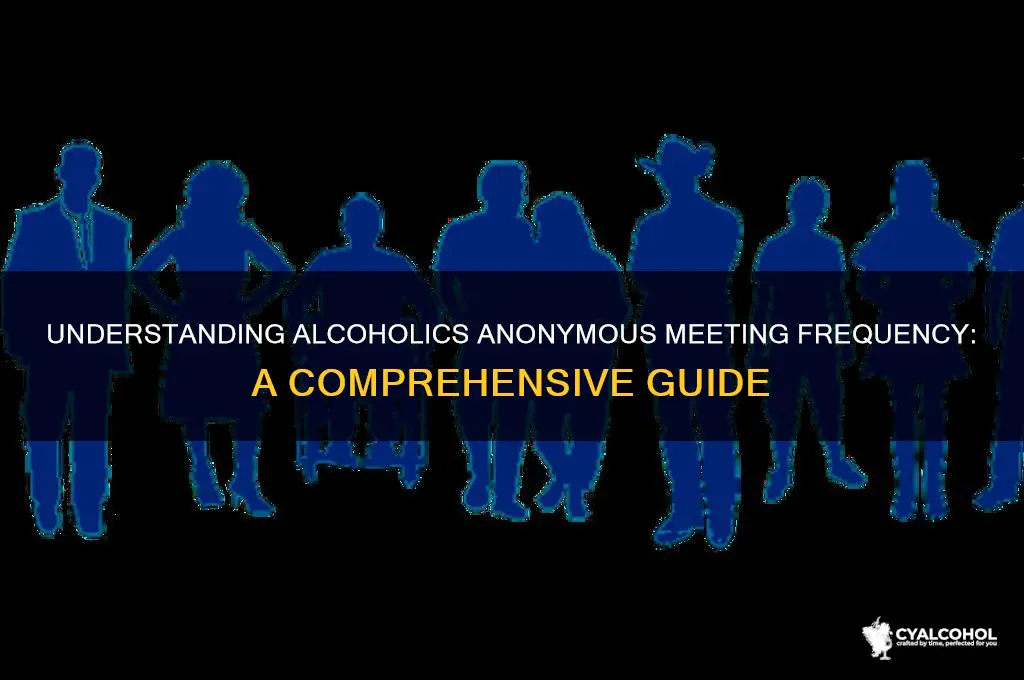 Understanding Alcoholics Anonymous Meeting Frequency: A Comprehensive ...