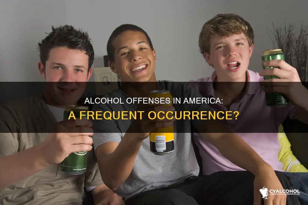 Alcohol Offenses In America: A Frequent Occurrence? | CyAlcohol