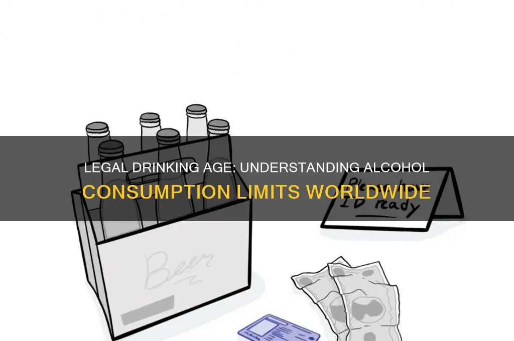 Legal Drinking Age: Understanding Alcohol Consumption Limits Worldwide ...